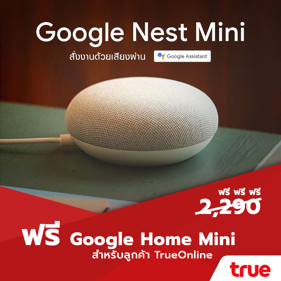 TrueOnline ใจปล้ำแจกฟรี Google Home Mini / Google Nest แก่ลูกค้าเน็ตทรู